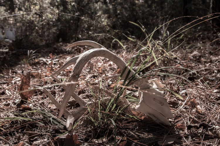 UndergroundLeather.co – Underground Leather